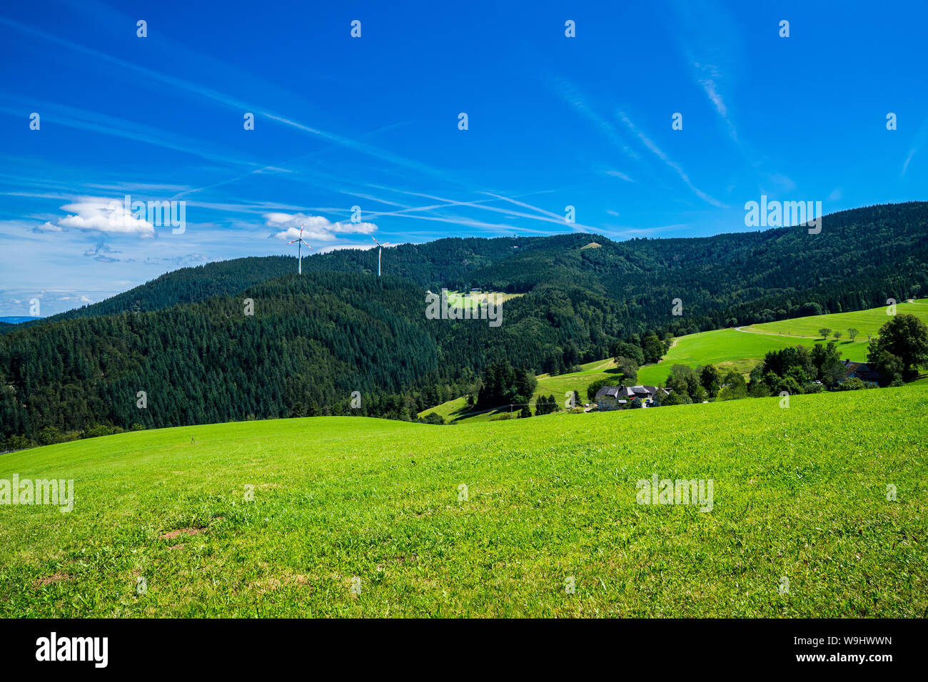 Germany, Untouched nature landscape in black forest national park with ...