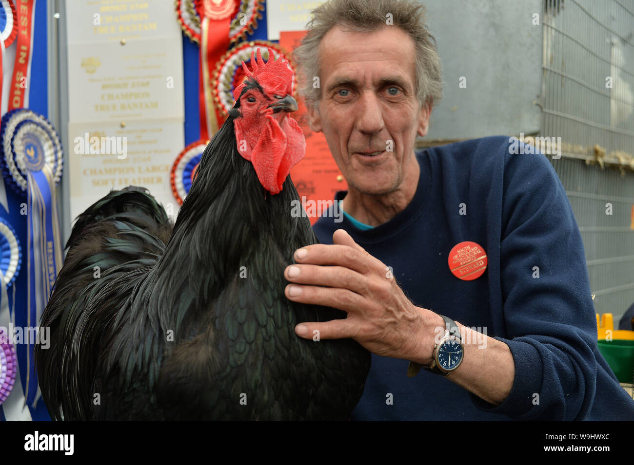 South of England Show, Ardingly 209 Stock Photo - Alamy