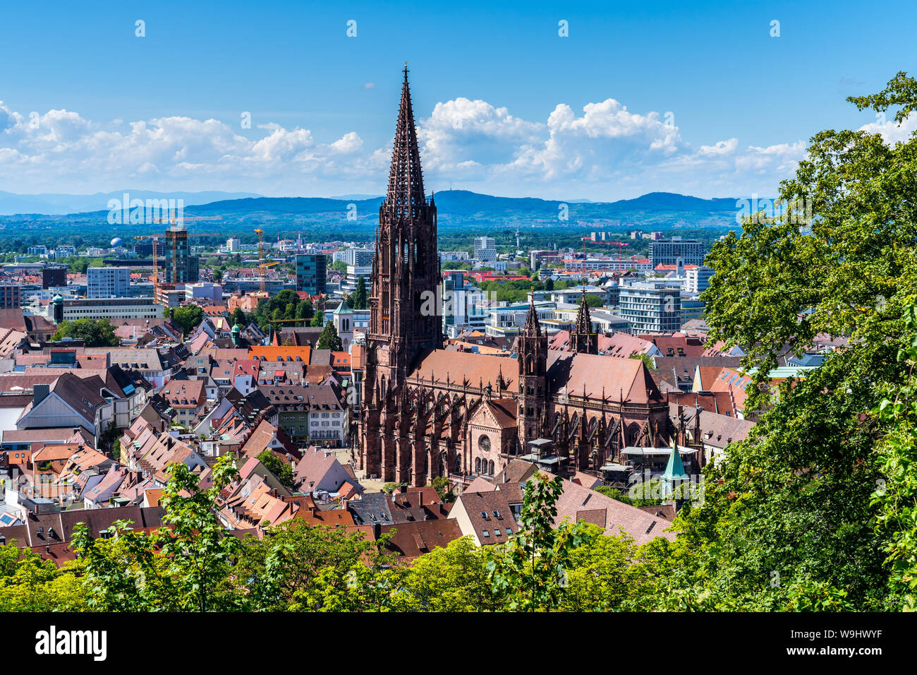 Germany, Red roofs and historical gothic muenster cathedral in famous ...