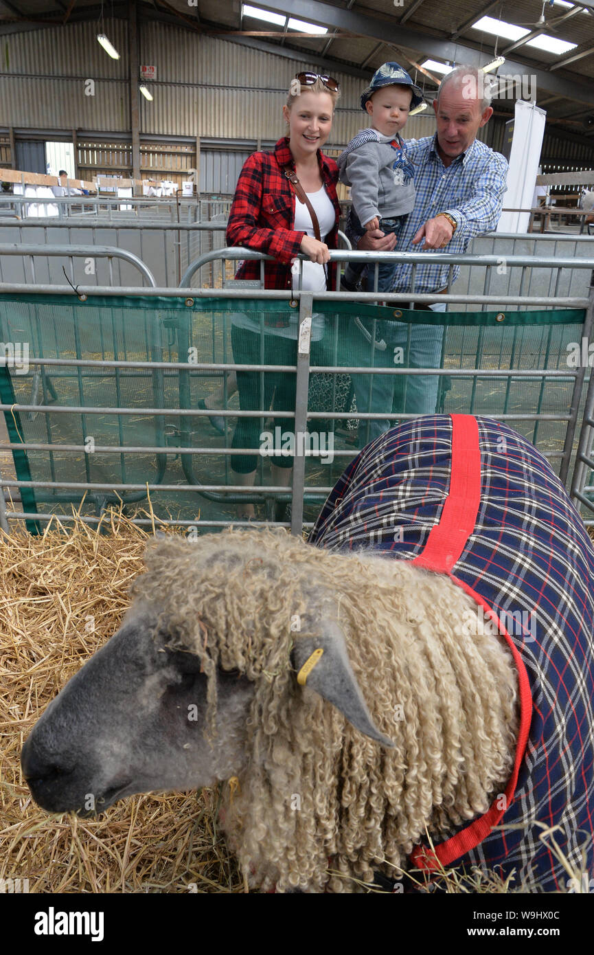 South of England Show, Ardingly 209 Stock Photo - Alamy