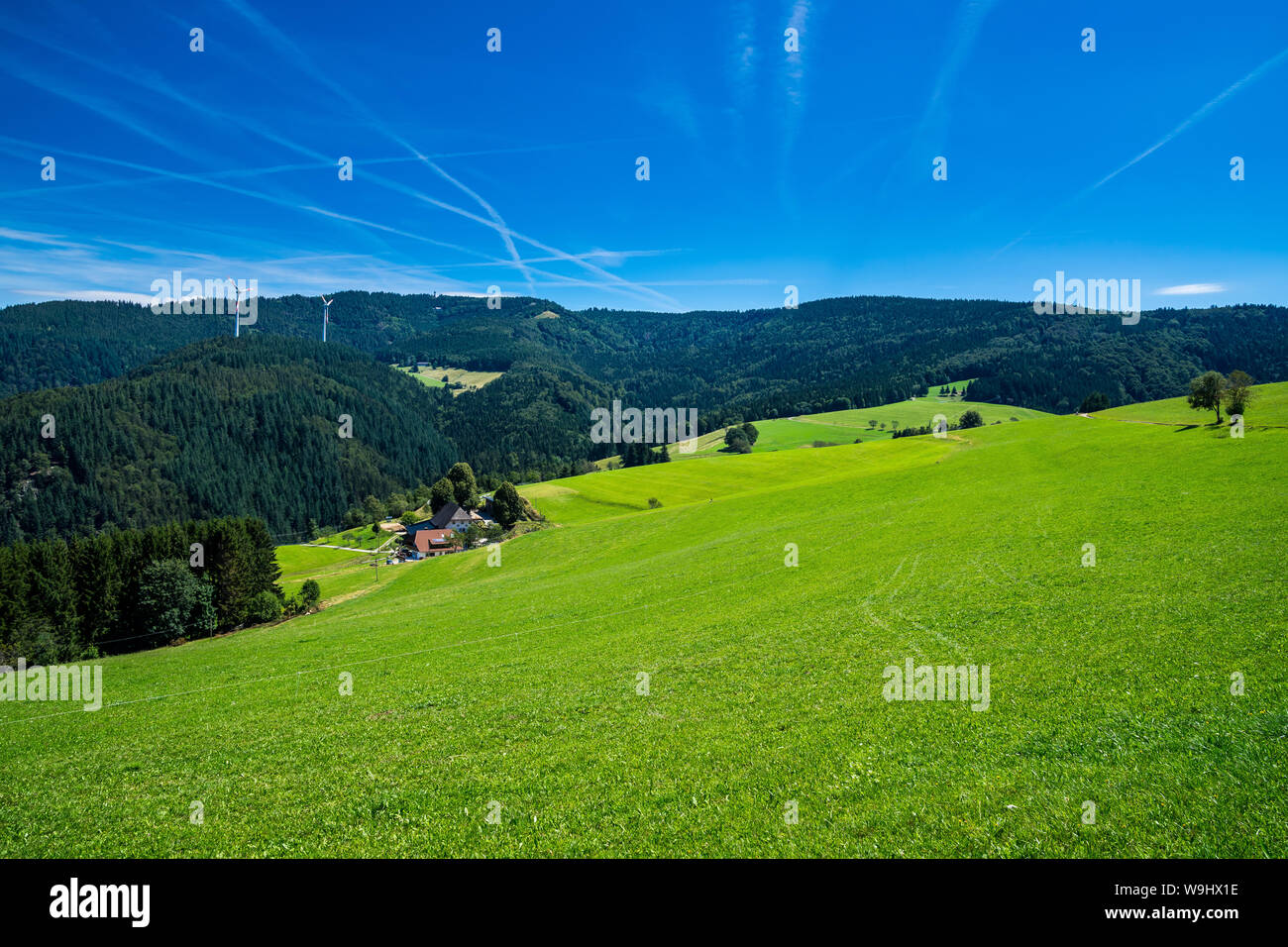 Germany, Endless green pasture and woods of black forest nature scenery ...