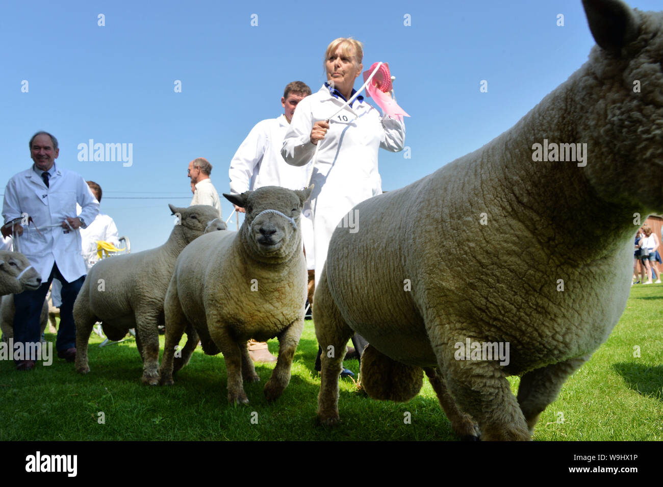 South of England Show, Ardingly 209 Stock Photo - Alamy
