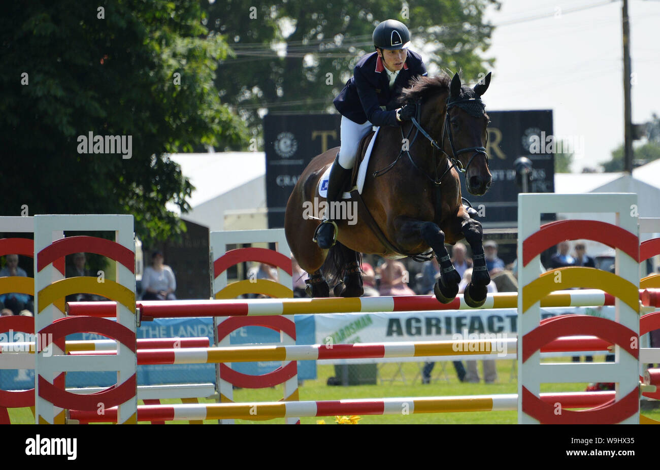 South of england show showjumping hi-res stock photography and images ...