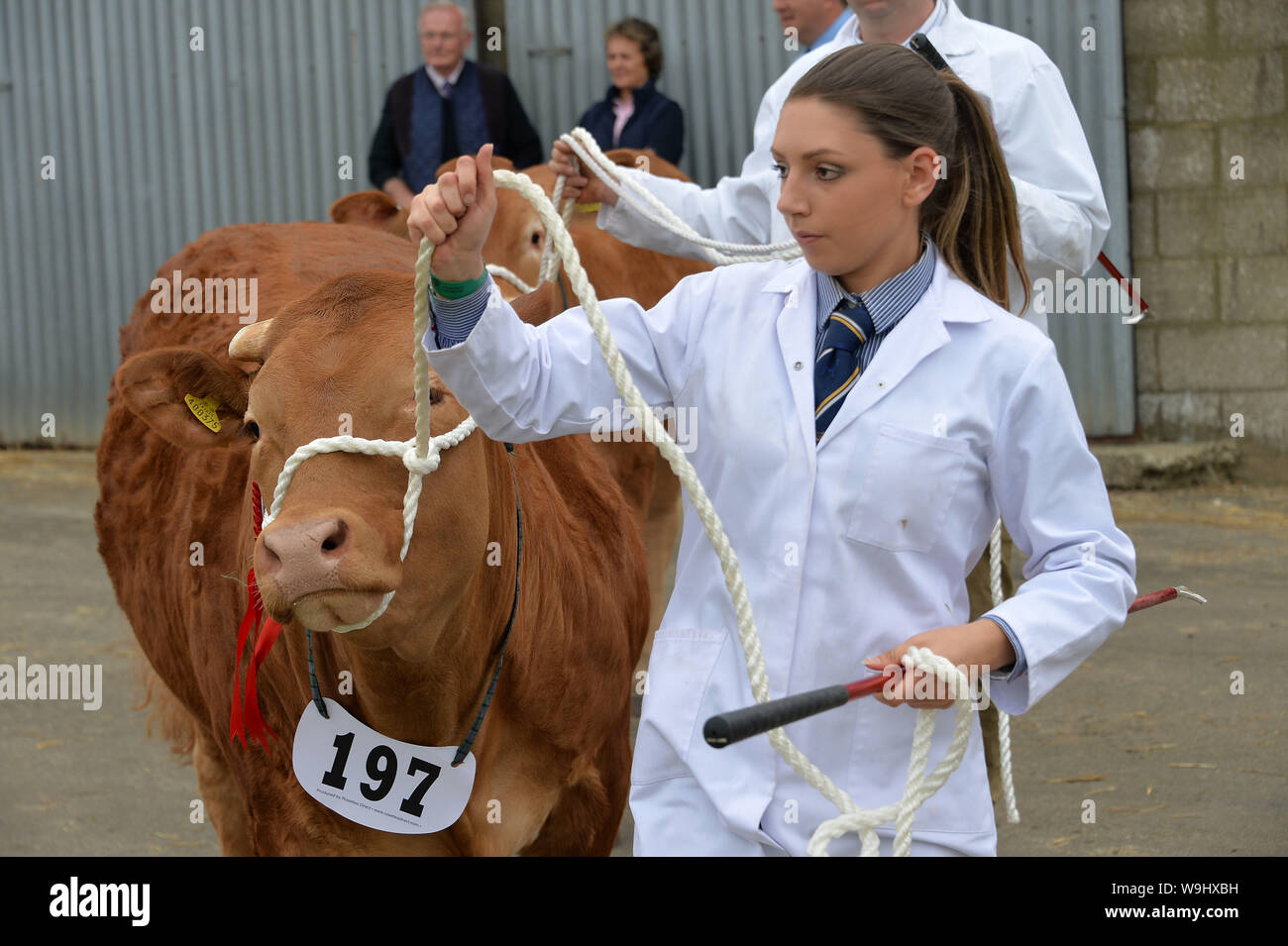 'south of england show' hi-res stock photography and images - Alamy