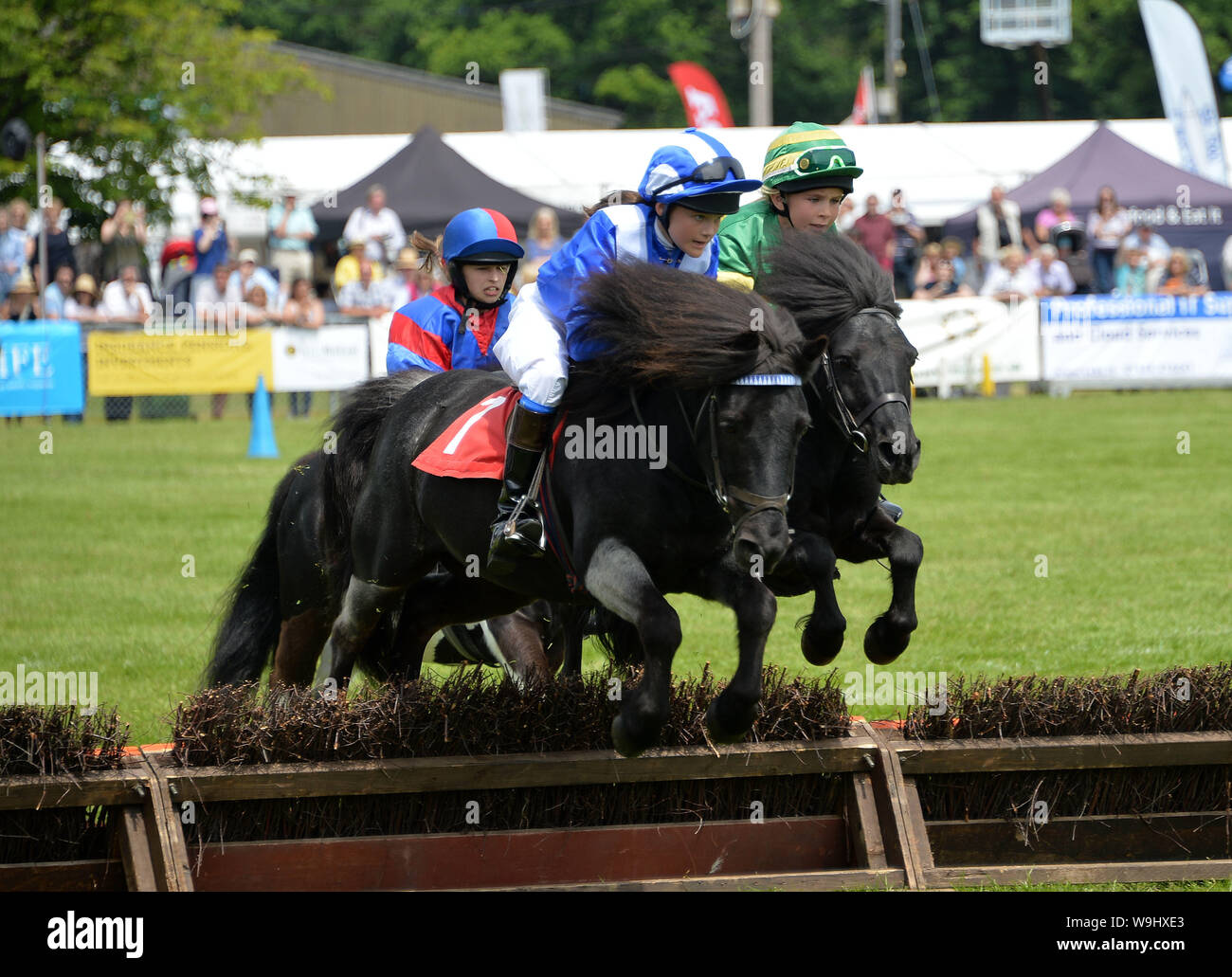 South of England Show, Ardingly 209 Stock Photo - Alamy