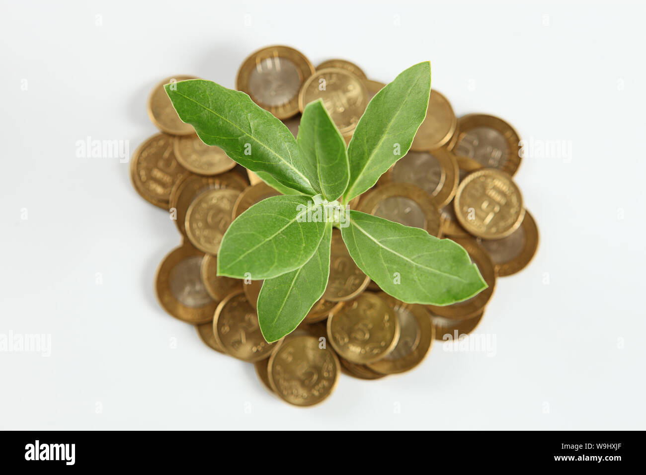 169830 hi-res stock photography and images - Alamy