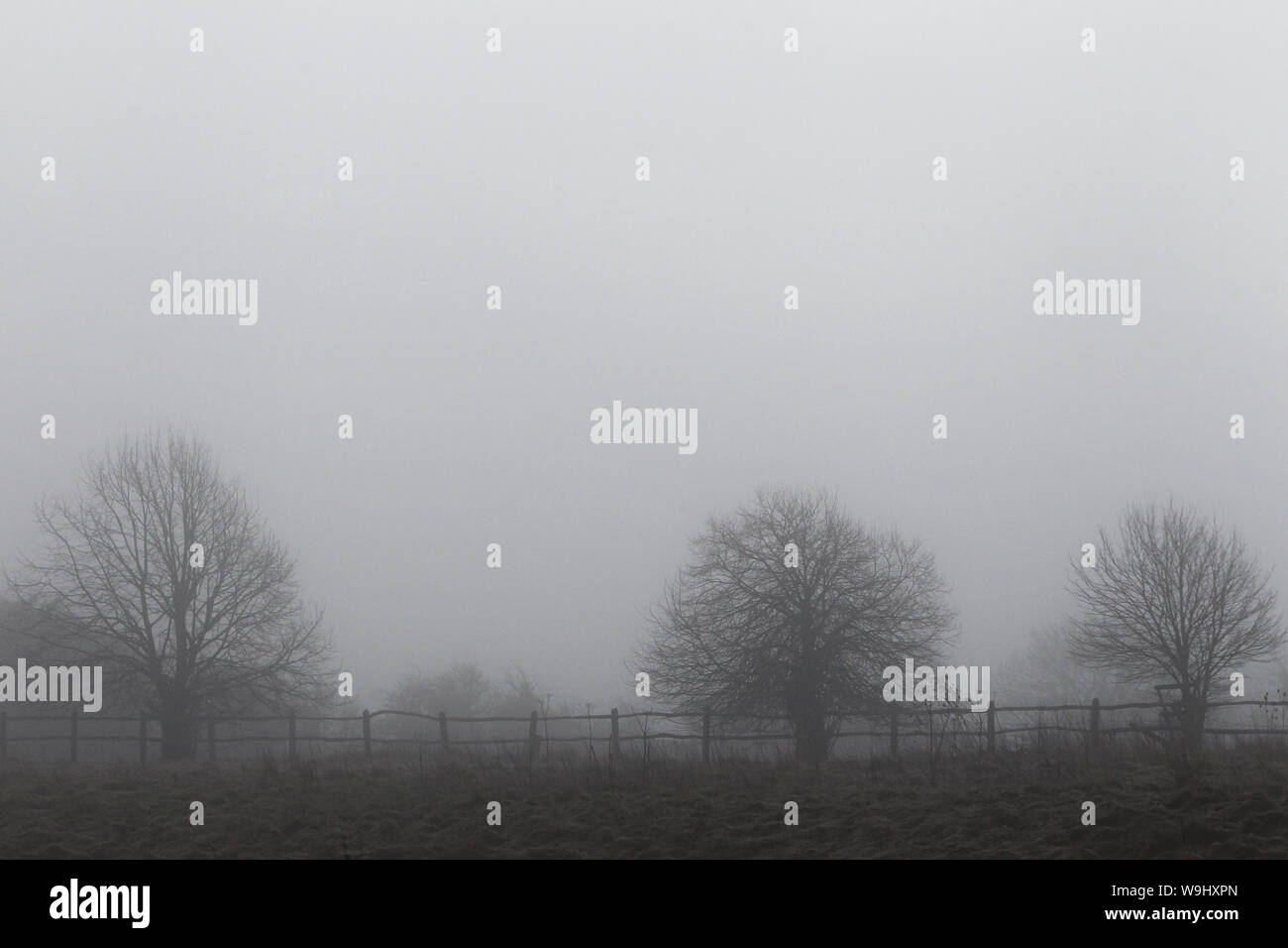 Fog in the field hi-res stock photography and images - Alamy