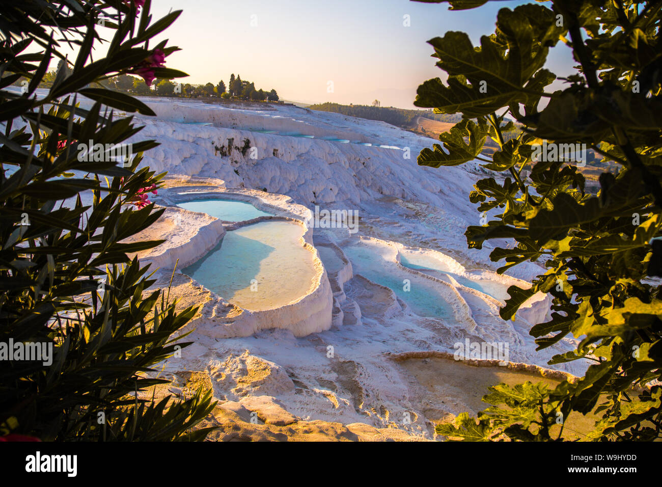 Pamukkale pool terraces in Hierapolis in Turkey Stock Photo - Alamy