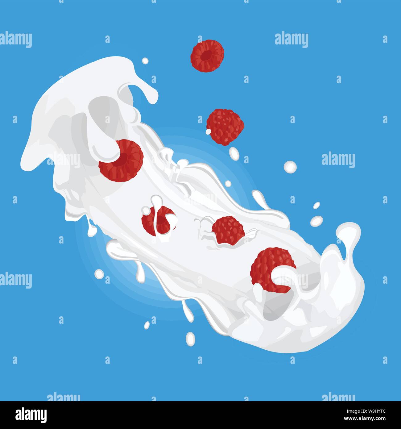 Raspberries in milk splash on blue background, vector illustration ...