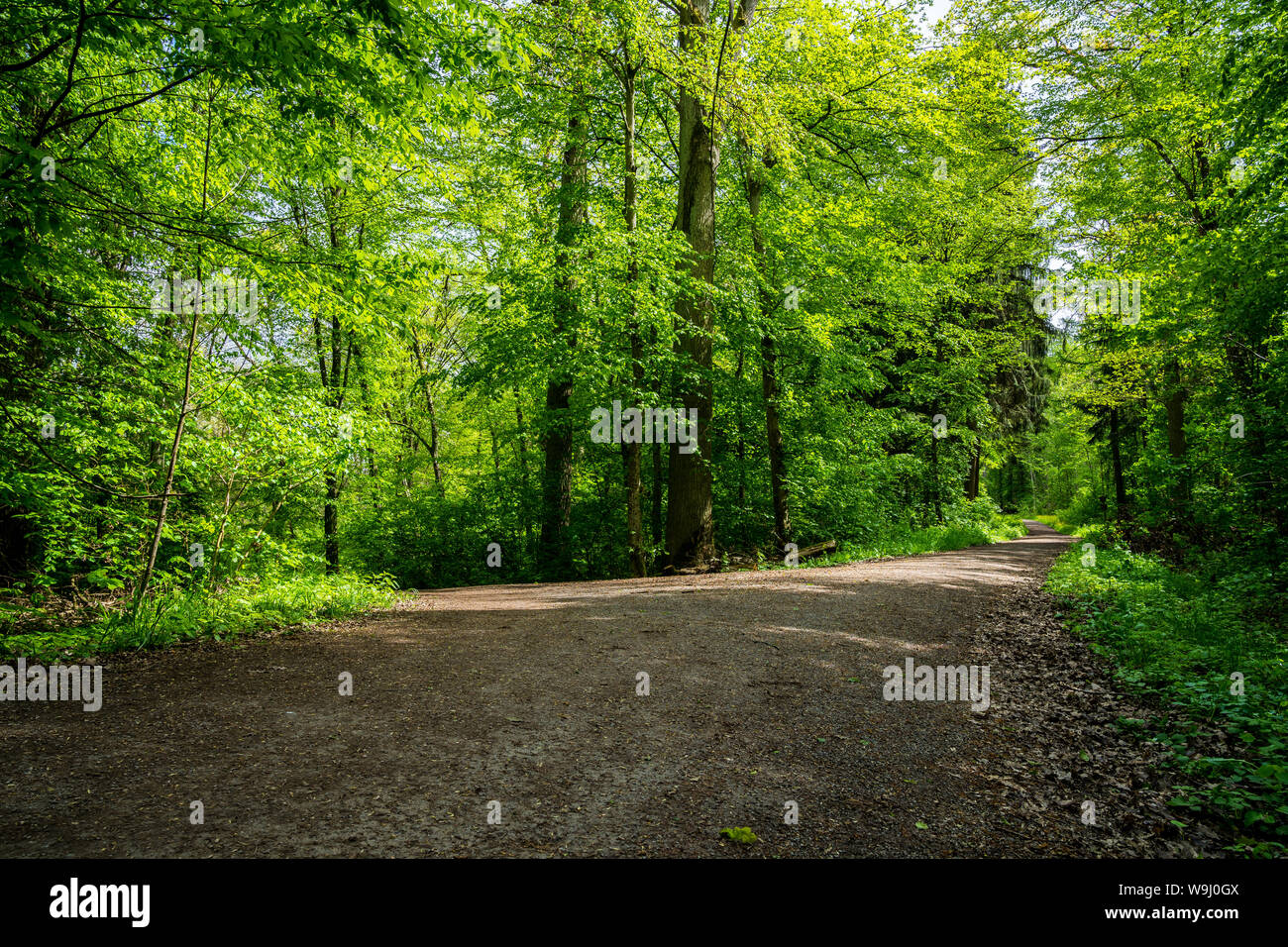 Forking soil tree hi-res stock photography and images - Alamy