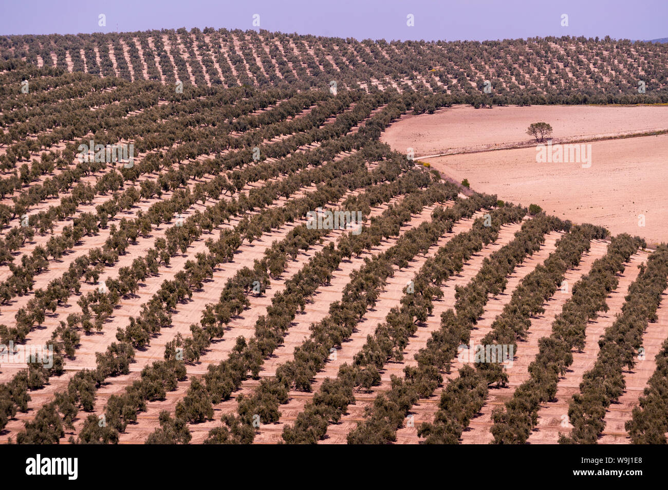 Andalusia landscape hi-res stock photography and images - Alamy