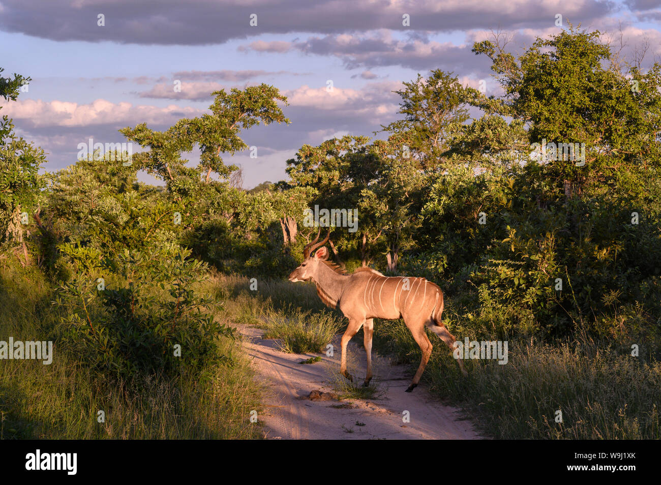 Sabi sand hi-res stock photography and images - Alamy