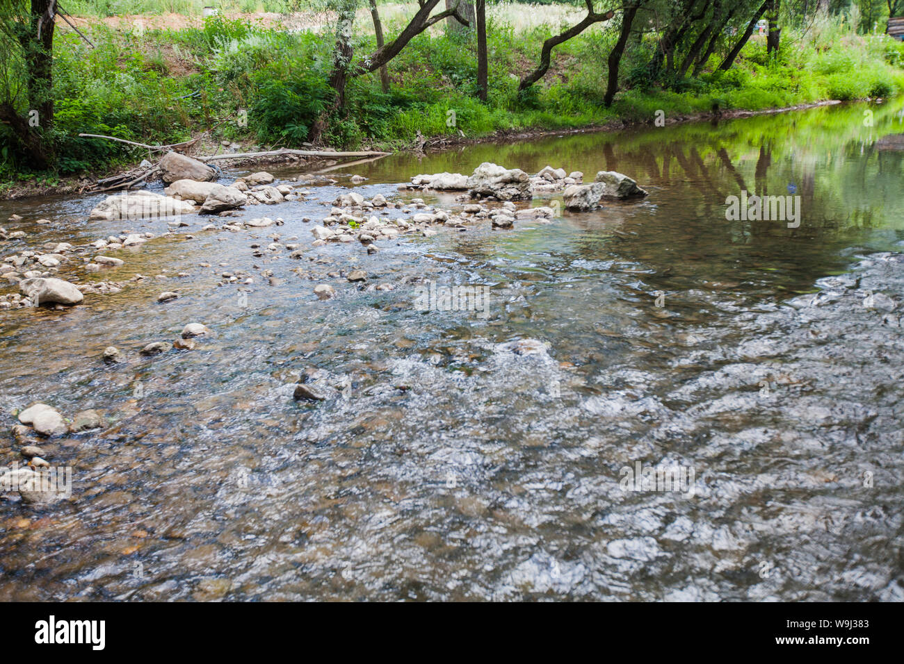 Summer Forest clear creek water flowing over stones at beautiful day in ...