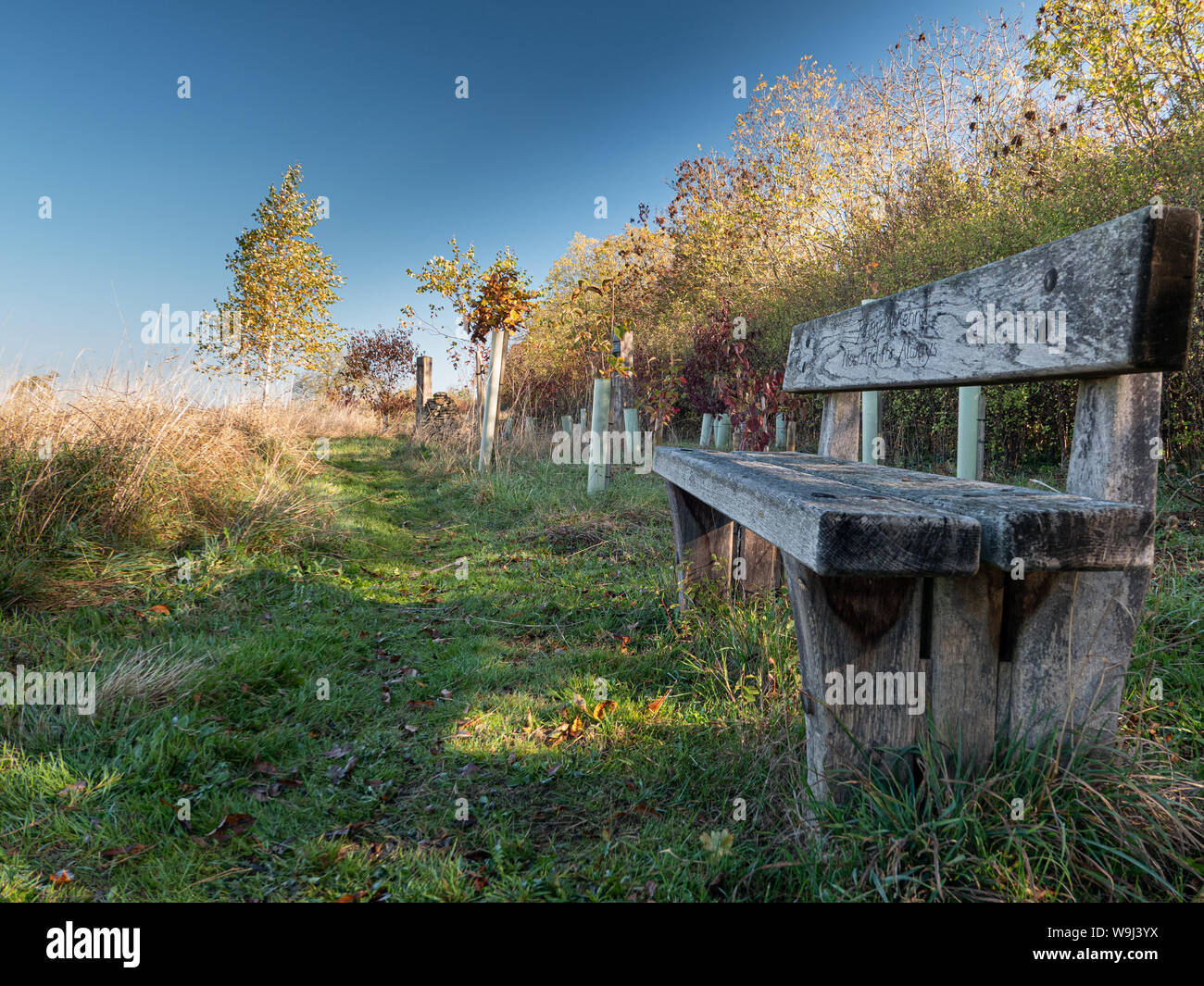 Rustic wooden bench set in countryside surroundings, UK Stock Photo - Alamy