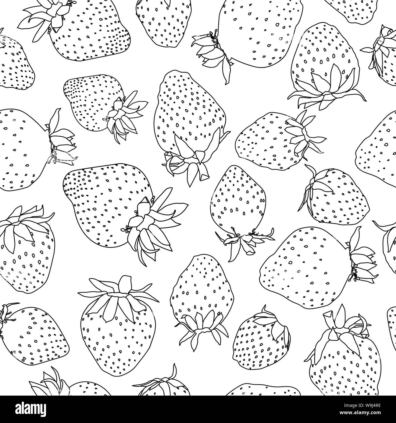 Strawberry fresh fruit drawing icon Black and White Stock Photos ...