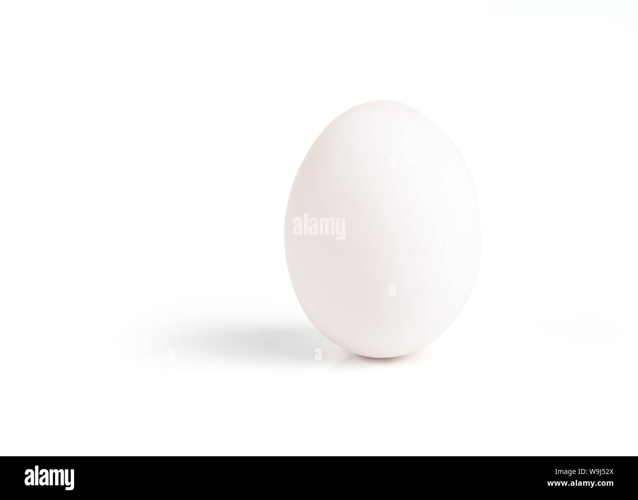 A single white duck egg isolated on a white background Stock Photo - Alamy