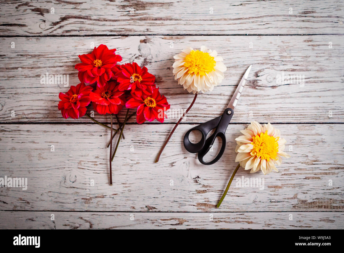 Flower scissors hi-res stock photography and images - Alamy