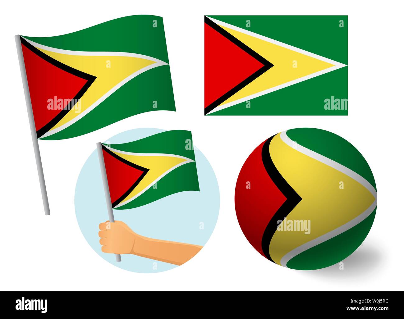 Guyana flag icon set. National flag of Guyana illustration Stock Photo - Alamy