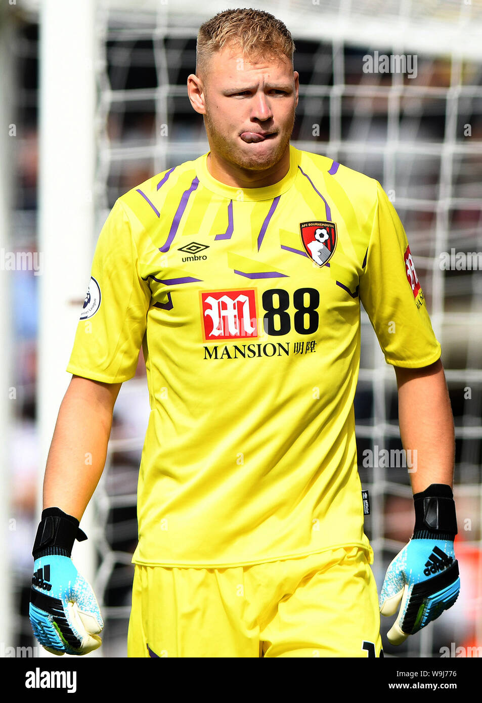Aaron Ramsdale of AFC Bournemouth - Bournemouth v Sheffield United ... Aaron Ramsdale of AFC Bournemouth - Bournemouth v Sheffield United ...