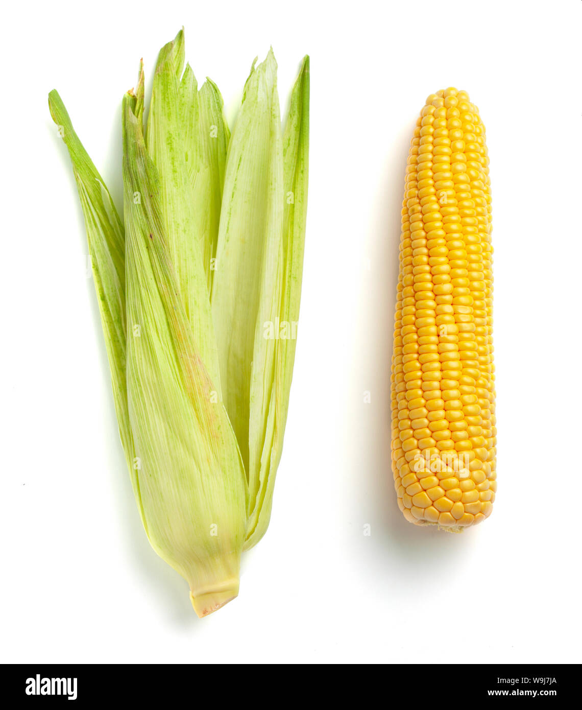 Corn in the leaves isolated on white background Stock Photo - Alamy