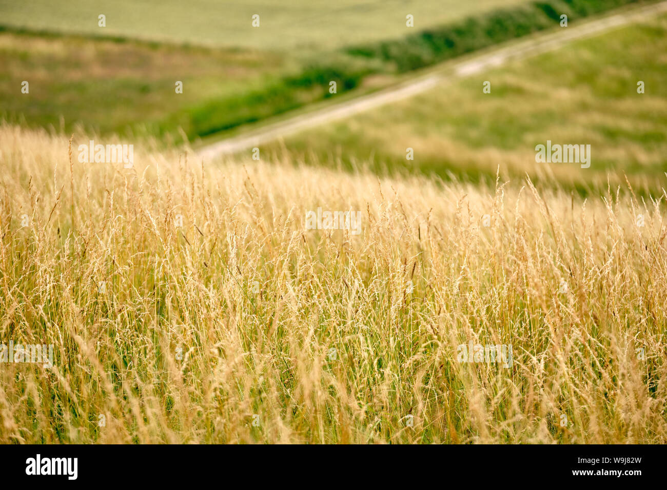 Abstract countryside hi-res stock photography and images - Alamy