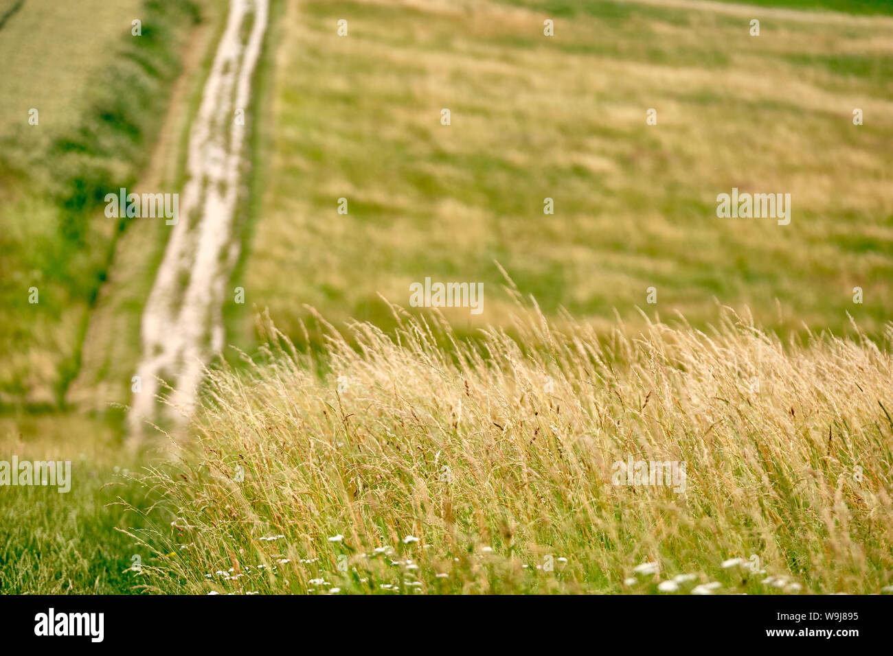 Abstract countryside hi-res stock photography and images - Alamy