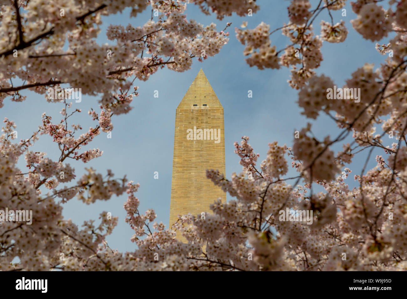 Dc monument spring flowers hi-res stock photography and images - Alamy