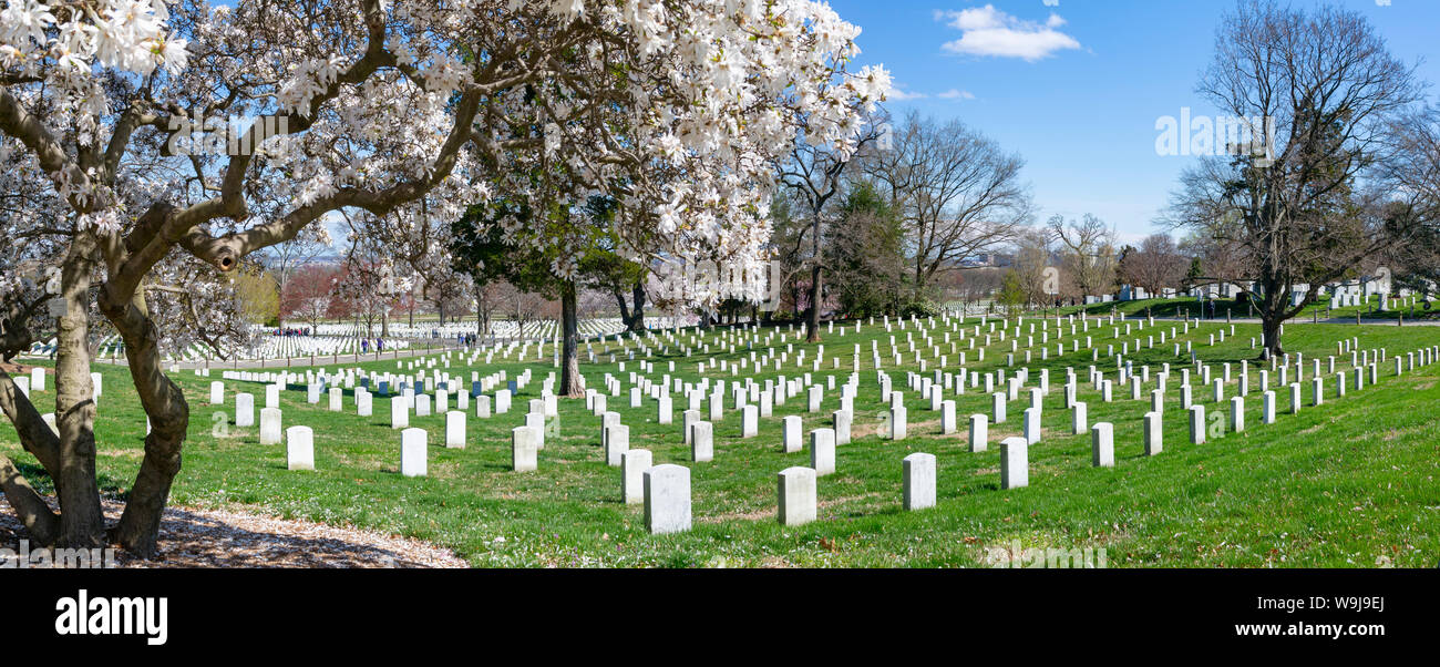 View of gravestones in Arlington National Cemetery in springtime ...