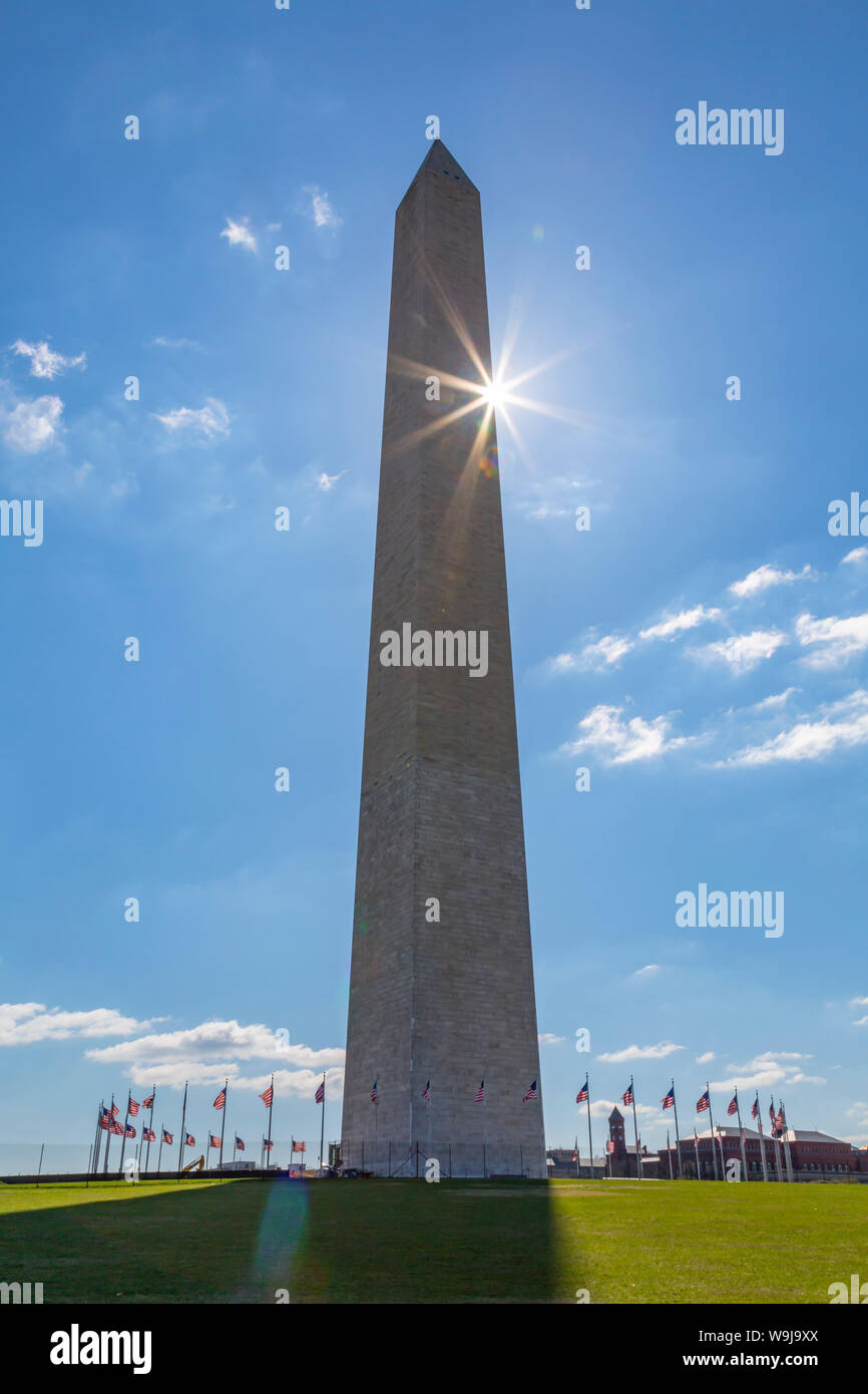 The Washington Monument and cherry blossom trees, Washington D.C ...