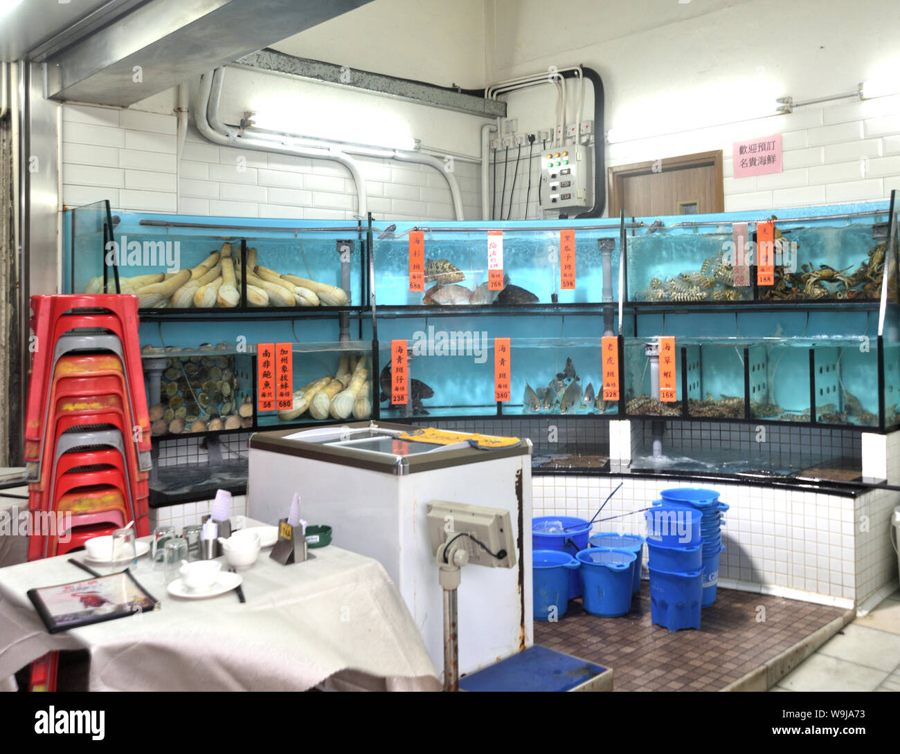 Live seafood restaurant hi-res stock photography and images - Alamy