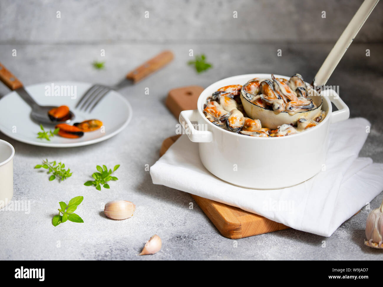 Mussels in cream and white wine sauce. Served with garlic and herbs in ...