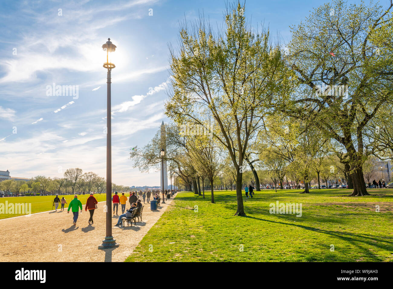 View of Smithsonian National Museum of Natural History and National ...