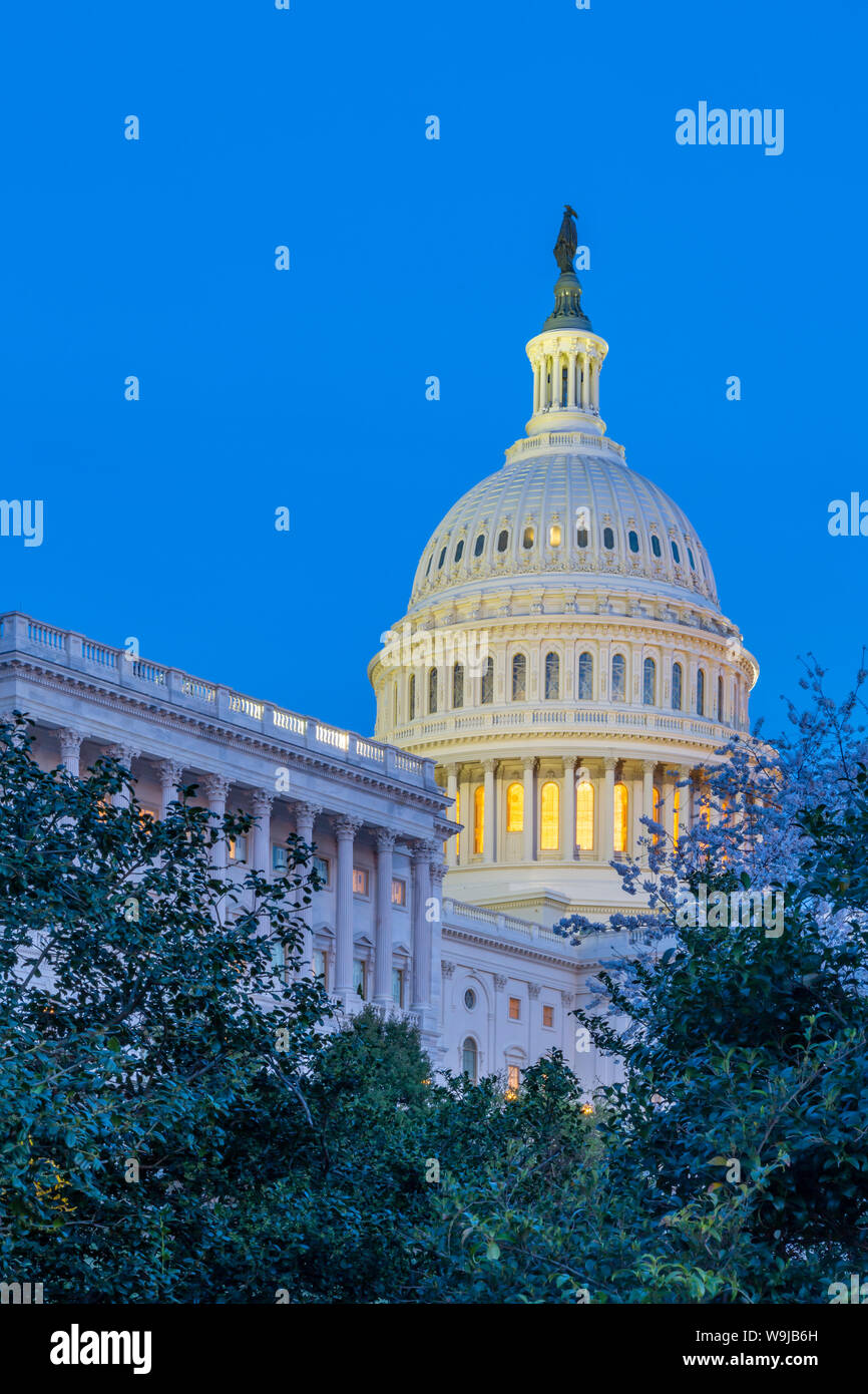 View of the United States Capitol Building at dusk, Washington D.C ...