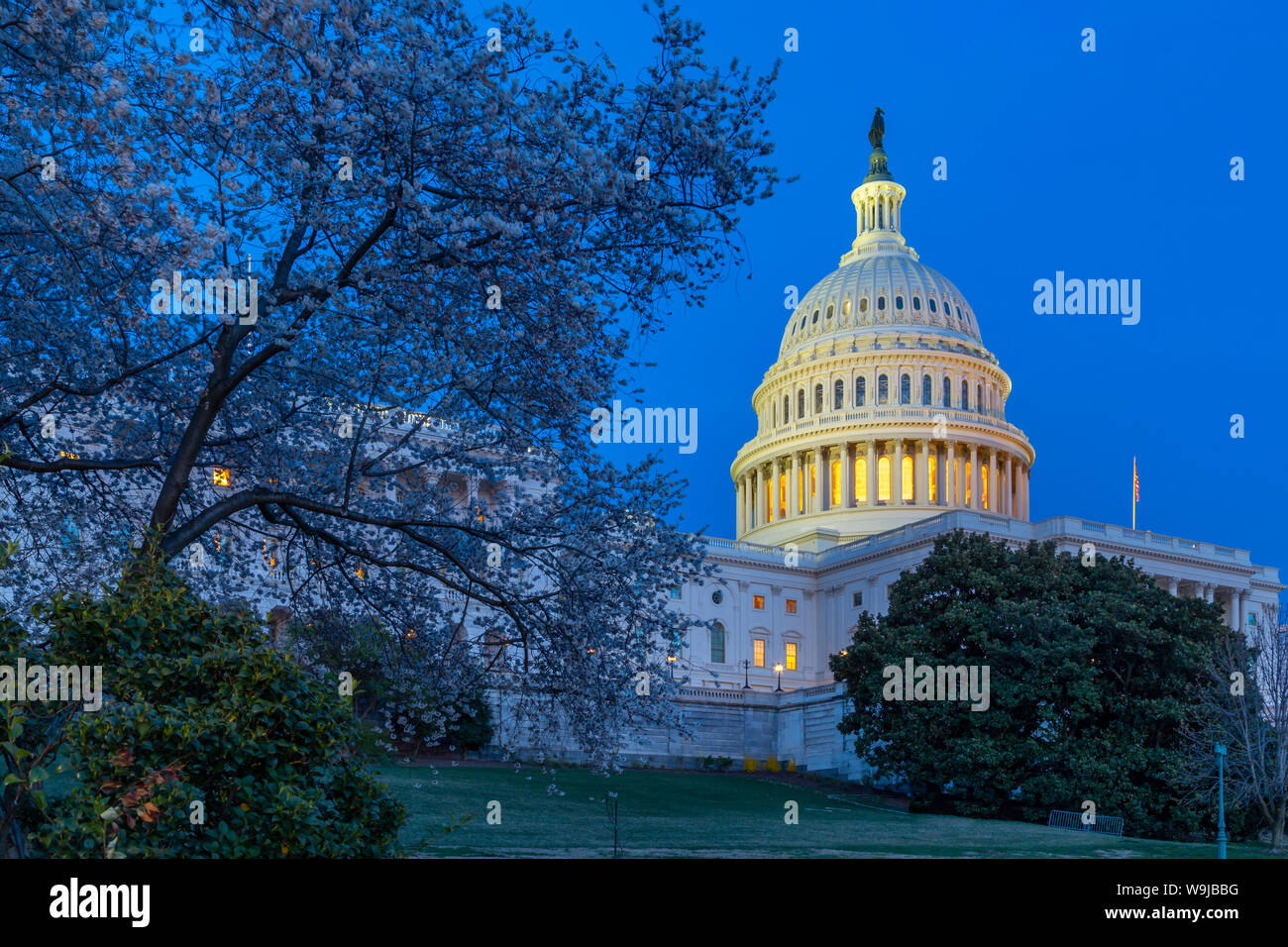View of the United States Capitol Building at dusk, Washington D.C ...