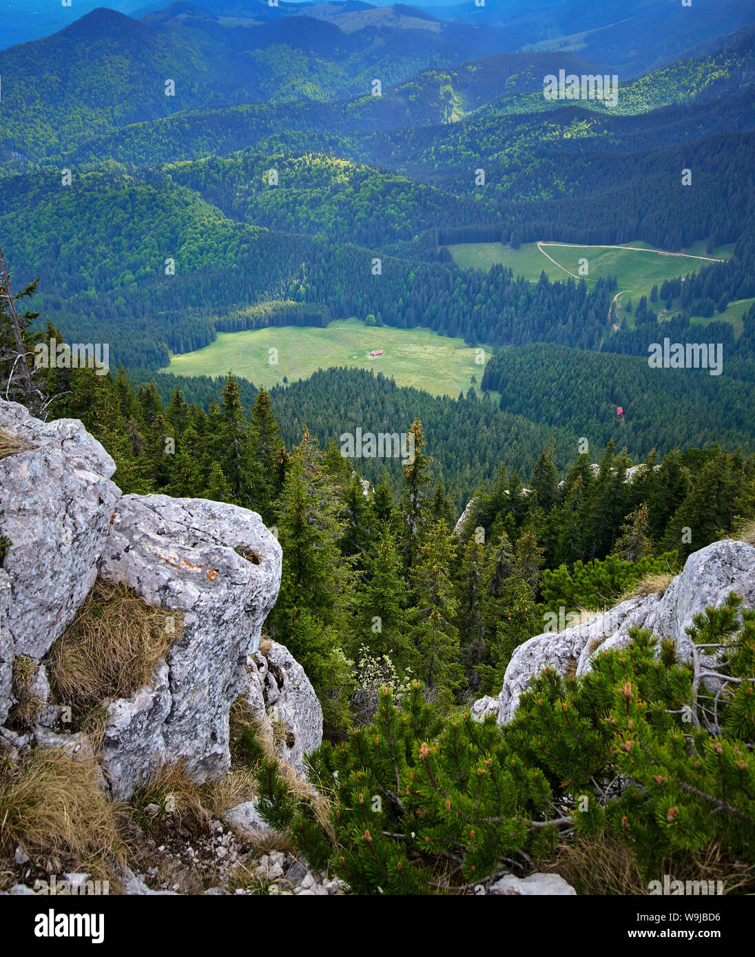 Mountain landscape with an afforested valley Stock Photo - Alamy