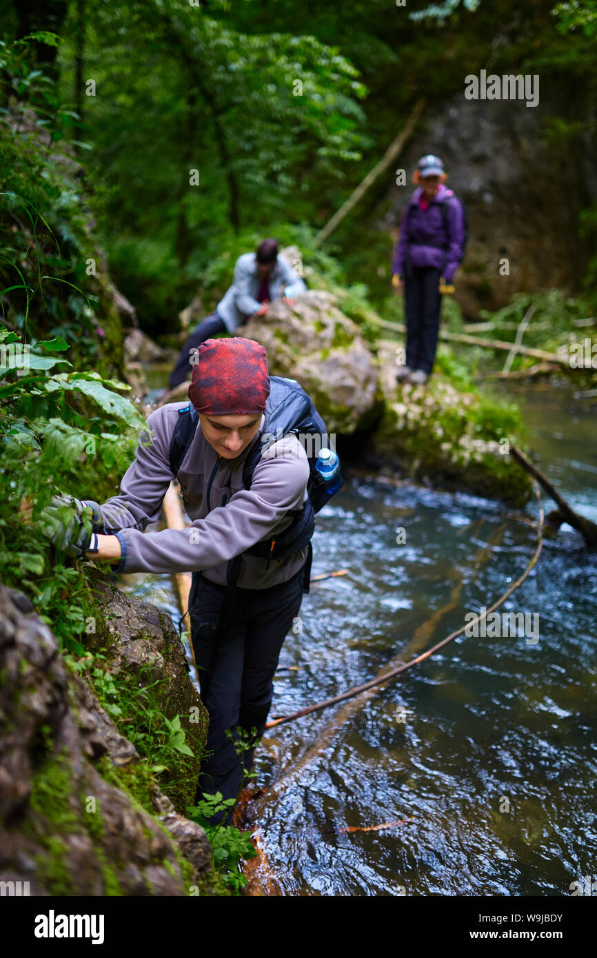 Group of people hiking on a trail in the mountain forest Stock Photo ...