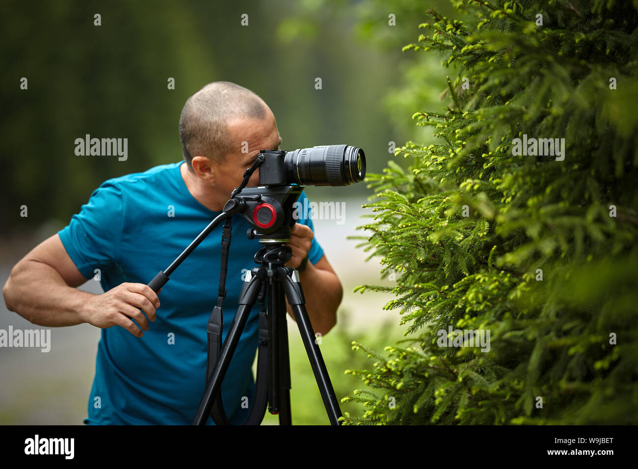 Photographer with camera on tripod shooting a macro scene Stock Photo ...