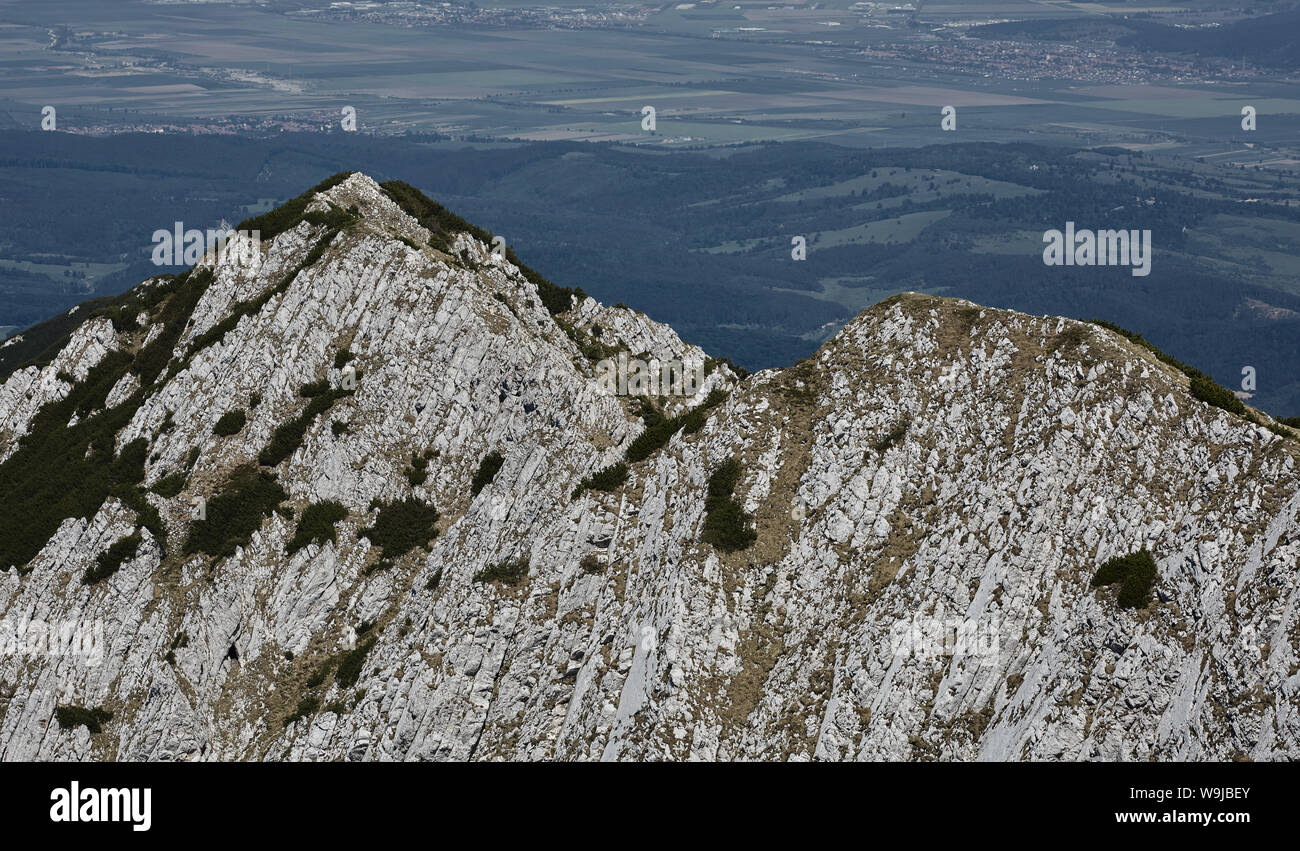 Mountain landscape with an afforested valley Stock Photo - Alamy