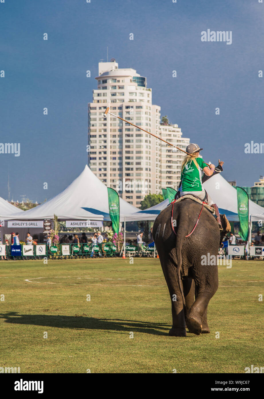 Elephant polo in jaipur hi-res stock photography and images - Alamy