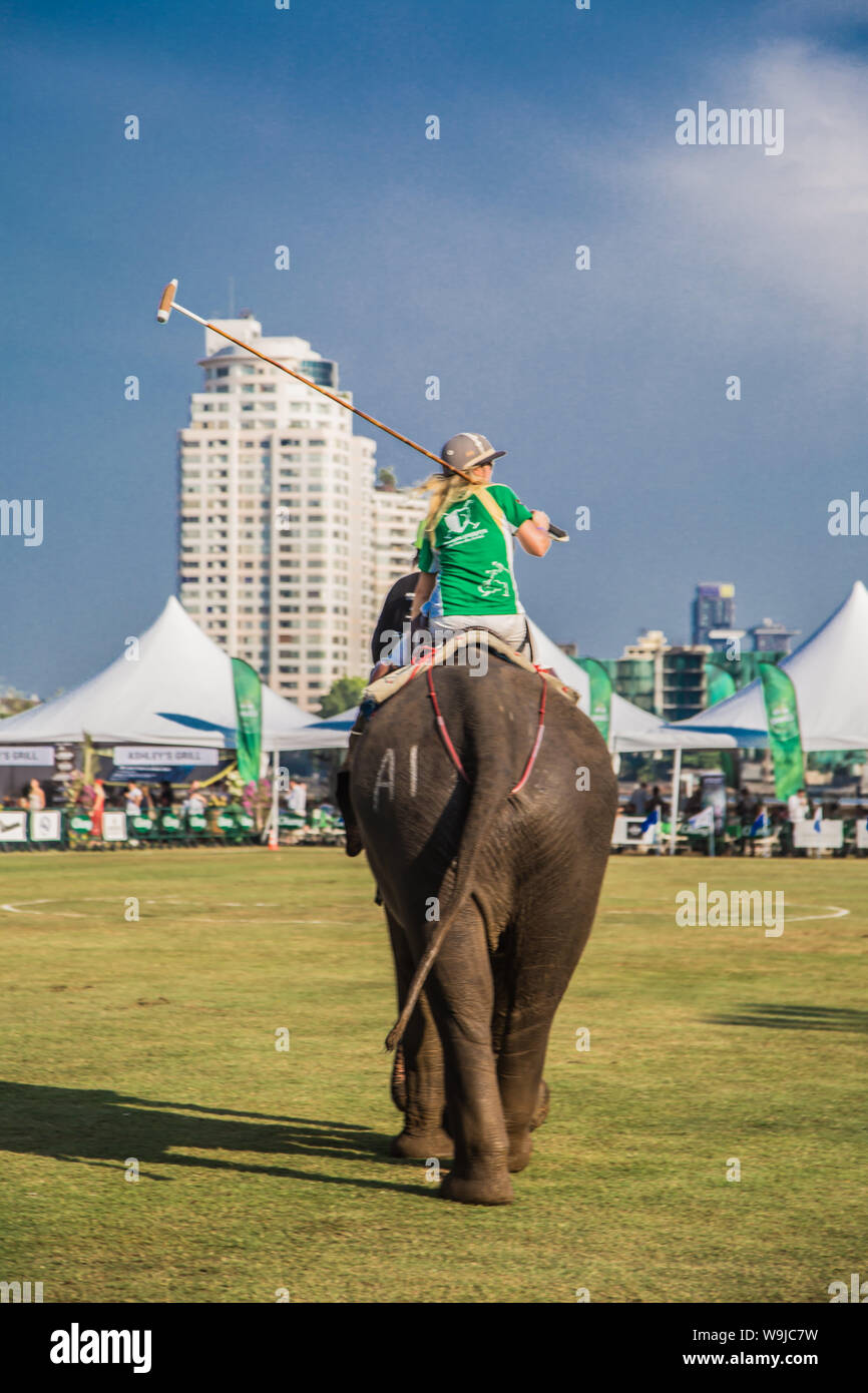 Elephant polo in jaipur hi-res stock photography and images - Alamy