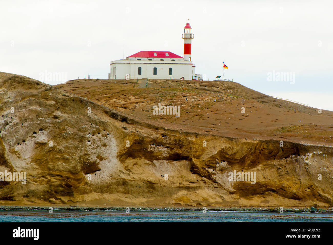 San Isidro Lighthouse - Magdalena Island - Chile Stock Photo - Alamy