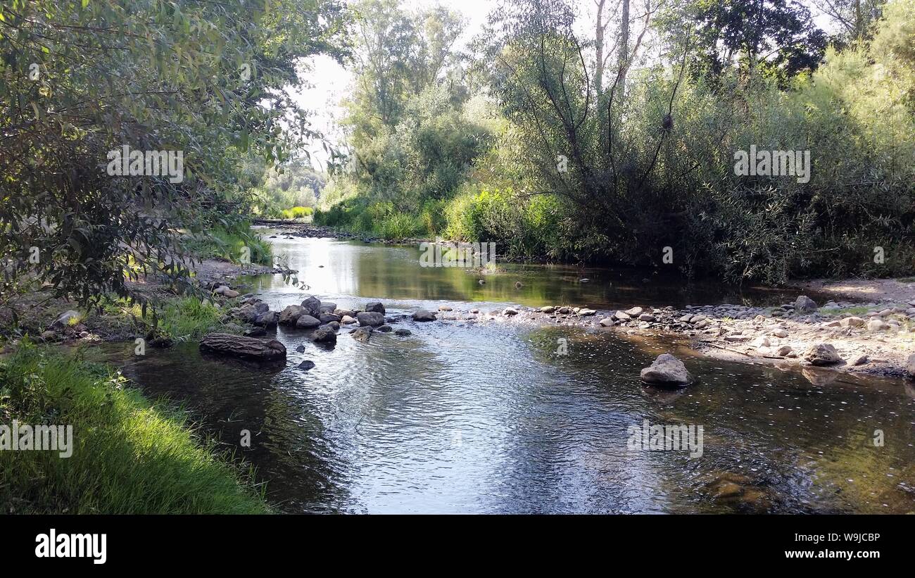 Glimpse of a river Stock Photo - Alamy