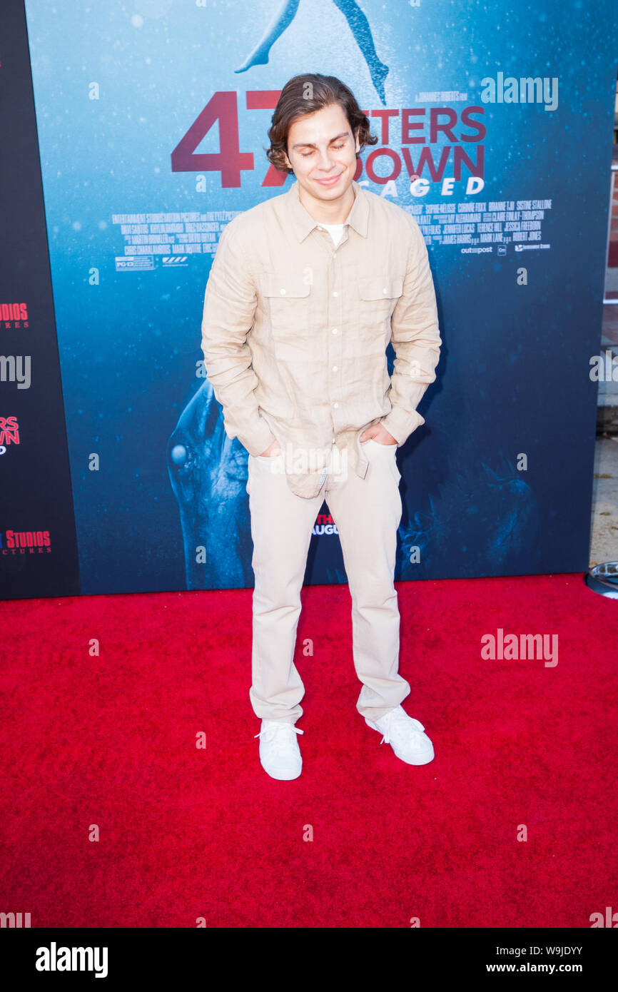 Los Angeles, CA. 13th Aug, 2019. Jake T. Austin attends the 47 Meters ...