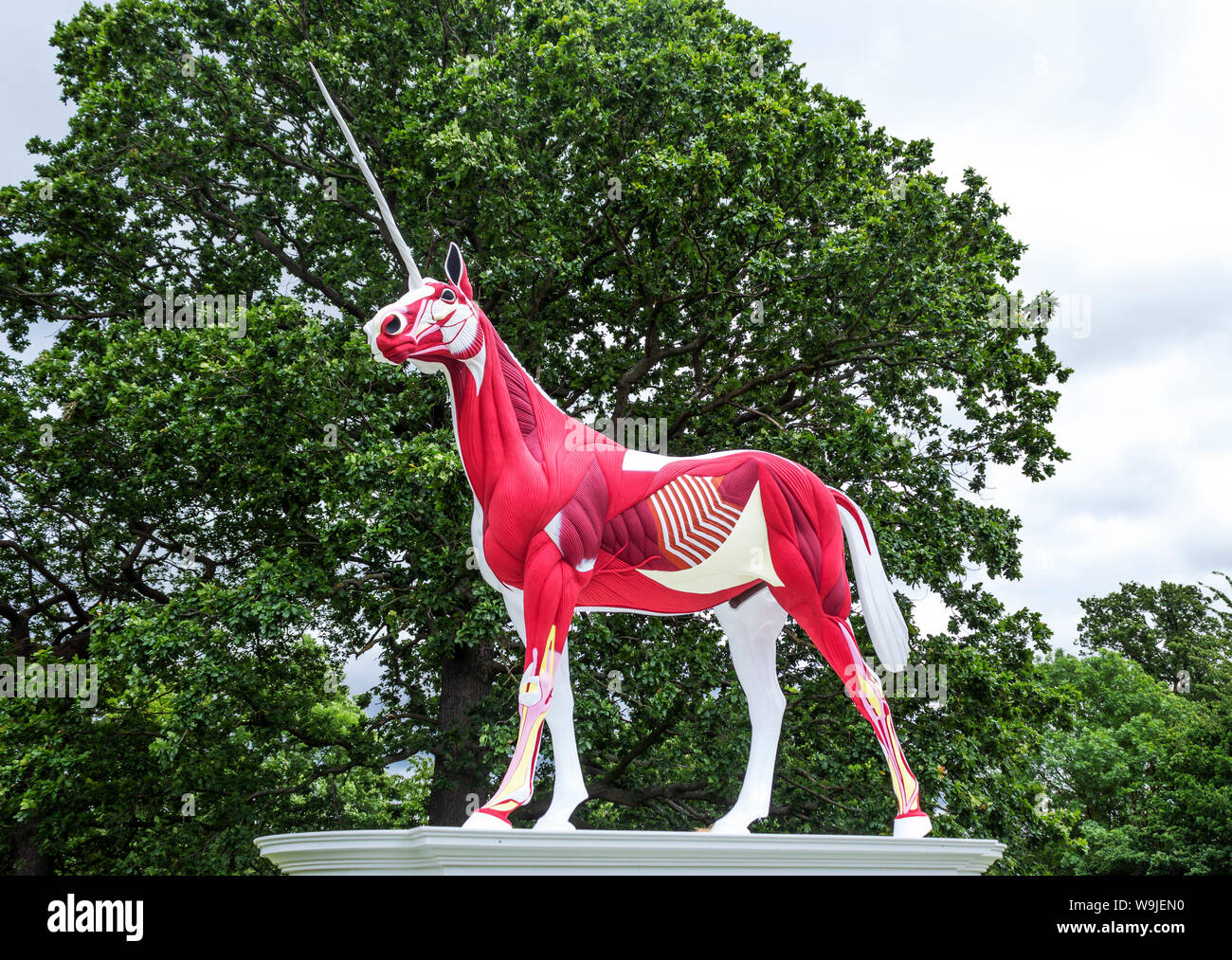 The Yorkshire Sculpture Park (YSP), West Bretton, near Wakefield, West ...