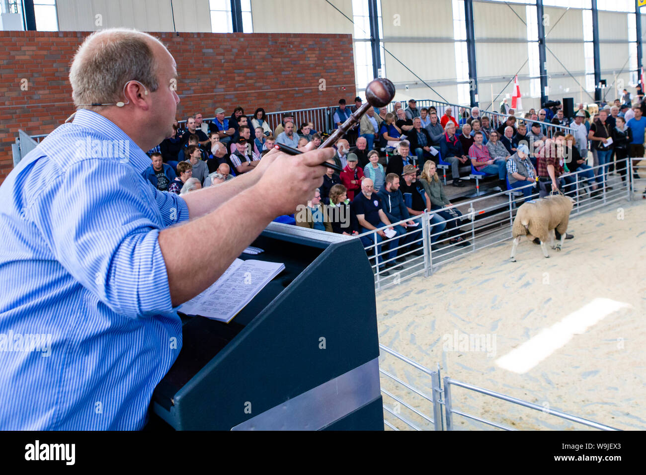 Husum, Germany. 14th Aug, 2019. Auctioneer Alf Thomas Feddersen is on ...