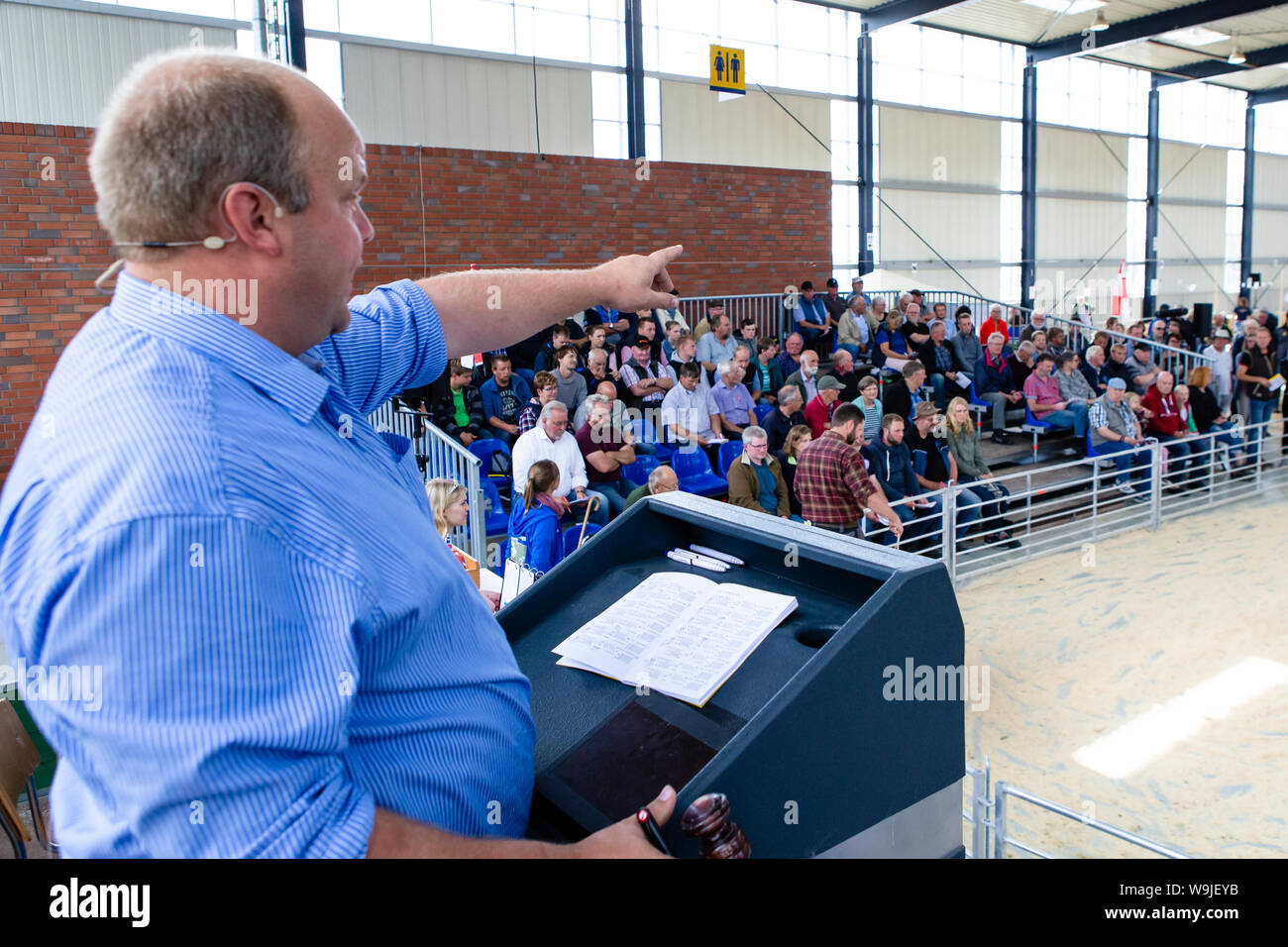 Husum livestock market hi-res stock photography and images - Alamy