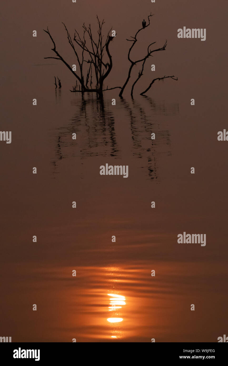 Golden African Sun set over Lake Kariba, Zimbabwe Stock Photo - Alamy