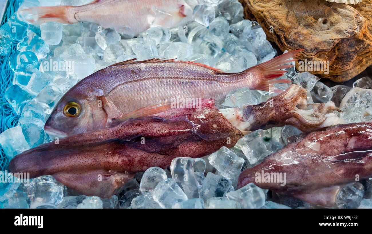 Fresh fish on ice Stock Photo - Alamy