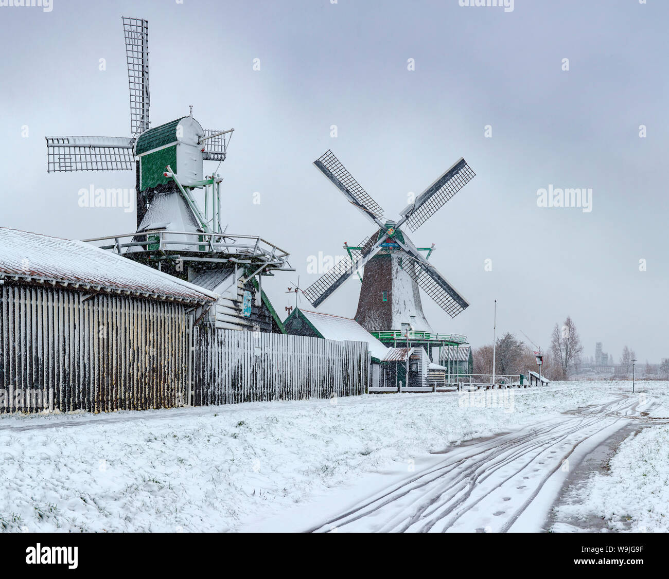 Windmills at a dyke, Zaandam, Noord-Holland, , Netherlands, 30071136 ...
