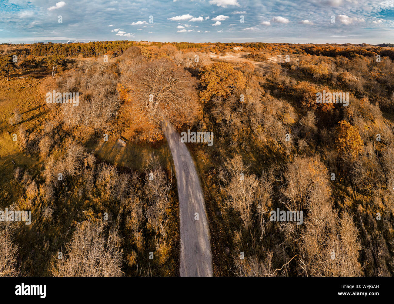 National park called Zuid-Kennemerland, Santpoort, Noord-Holland ...